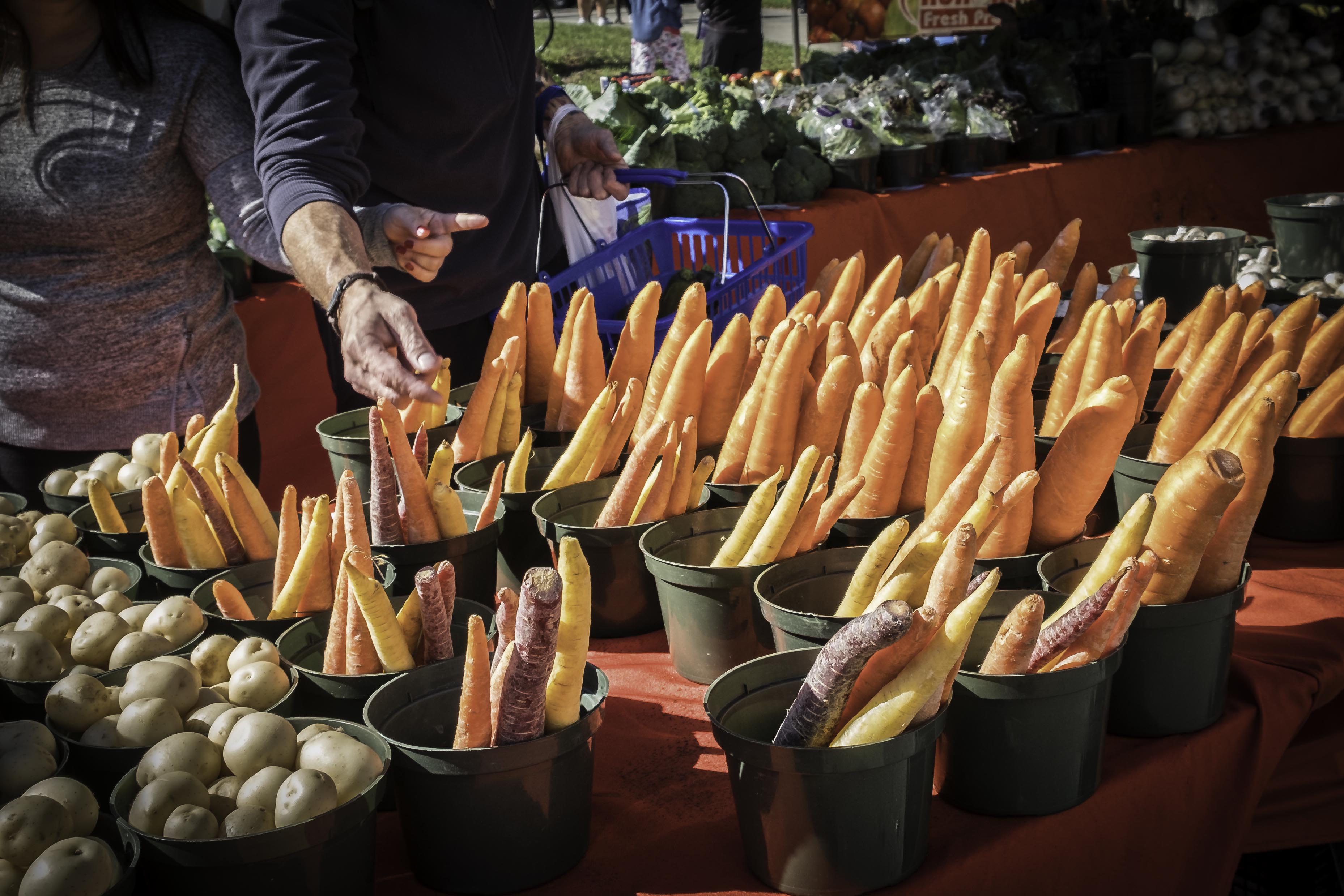 “No… That one over there!” – Street St. PETE